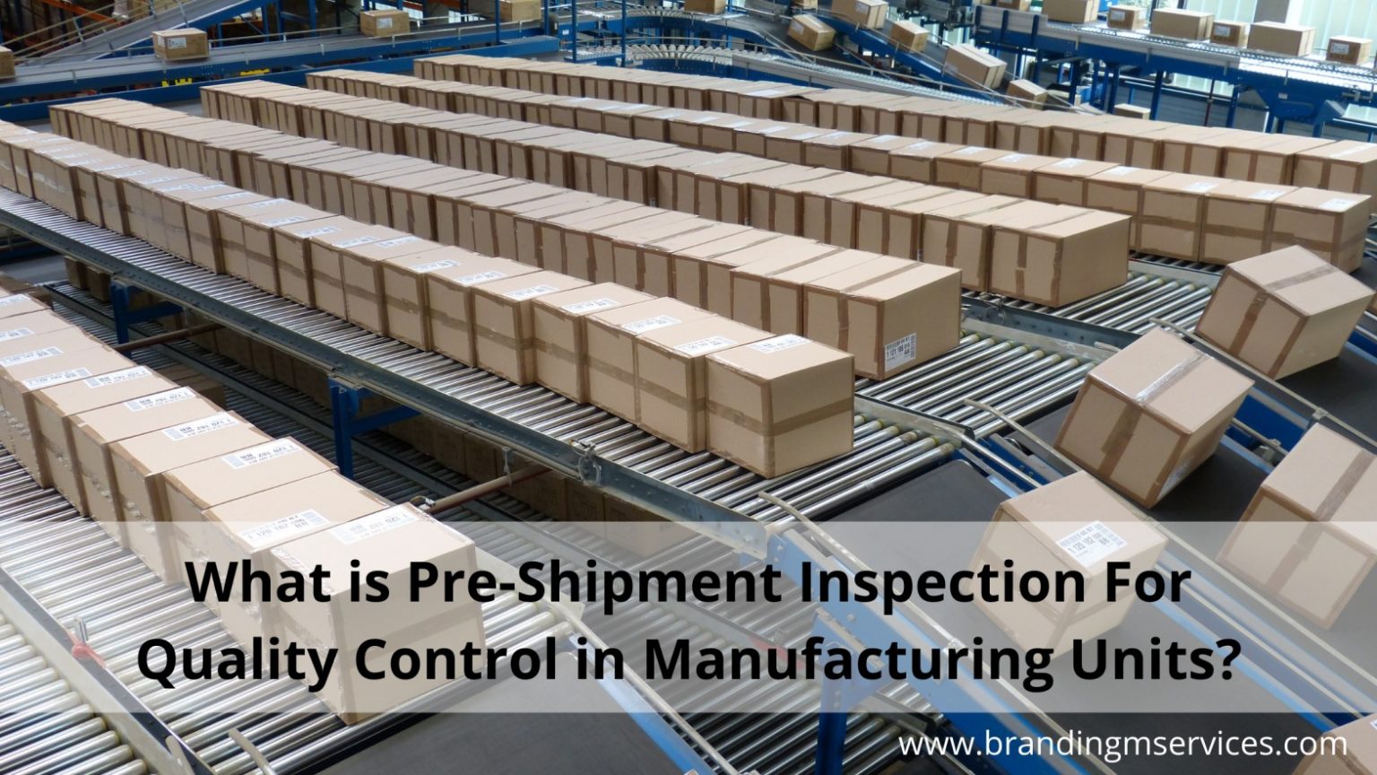 Pre-Shipment Inspection: Ensuring Quality in Manufacturing